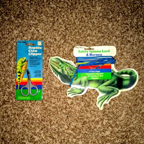 Reptile | Iguana Bundle | Poshmark